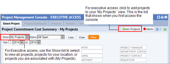 Management Console: Executive versus Manager Access