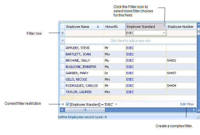 Searching for Records in a Grid Using the Filter Row